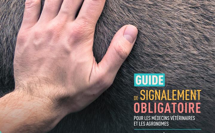 Guide de signalement obligatoire en bien-être animal pour les médecins ...