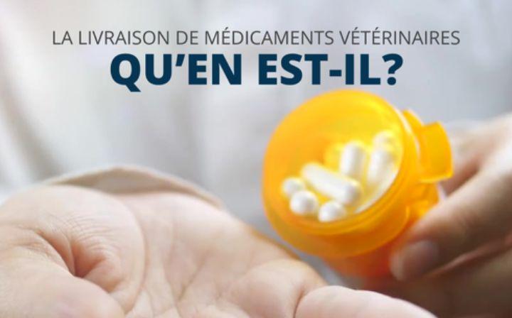 La livraison des médicaments vétérinaires, qu’en est-il? | OMVQ