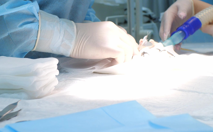 La feuille de suivi d’anesthésie?: une excellente pratique! | OMVQ
